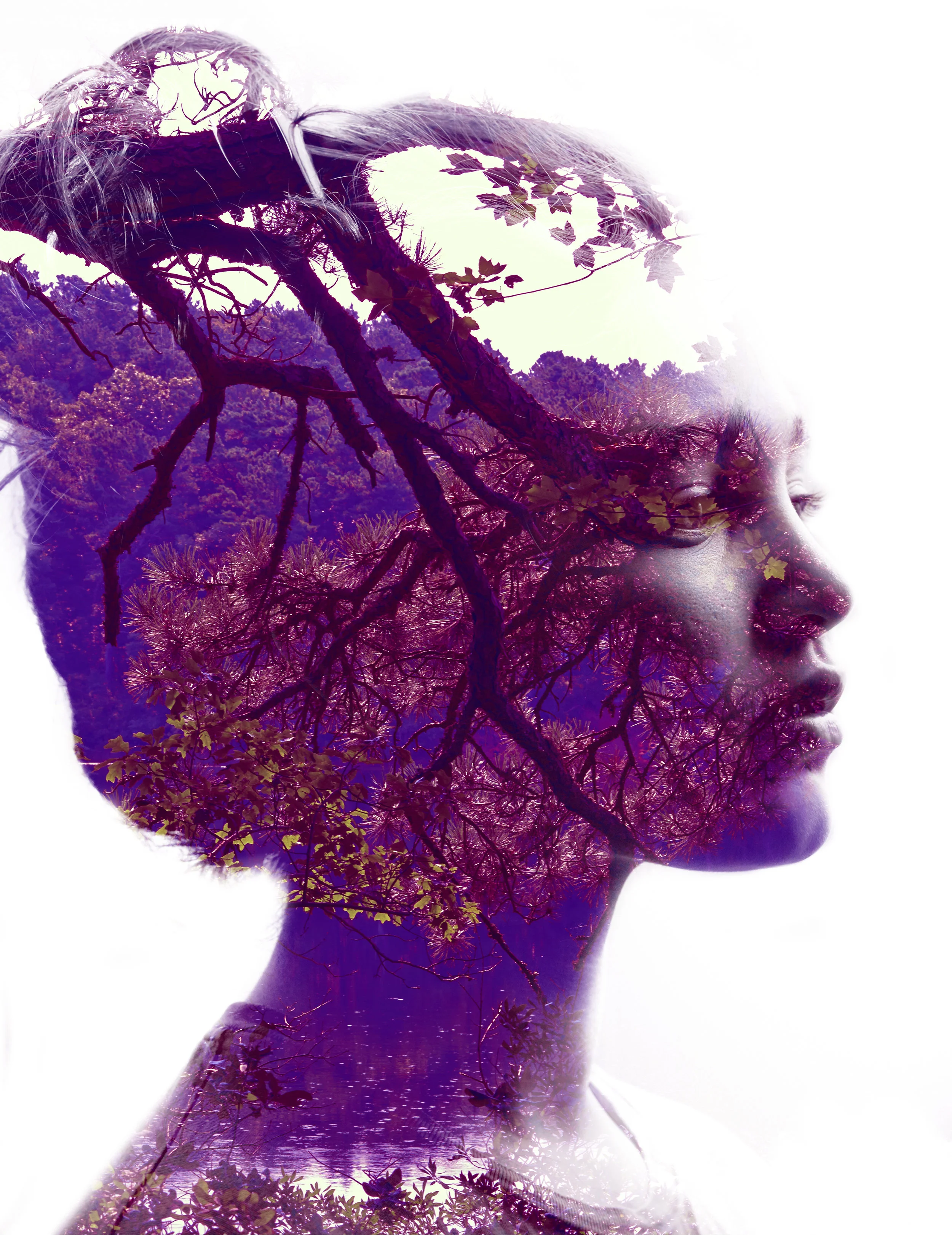 HOT — Jill Greenberg Studio