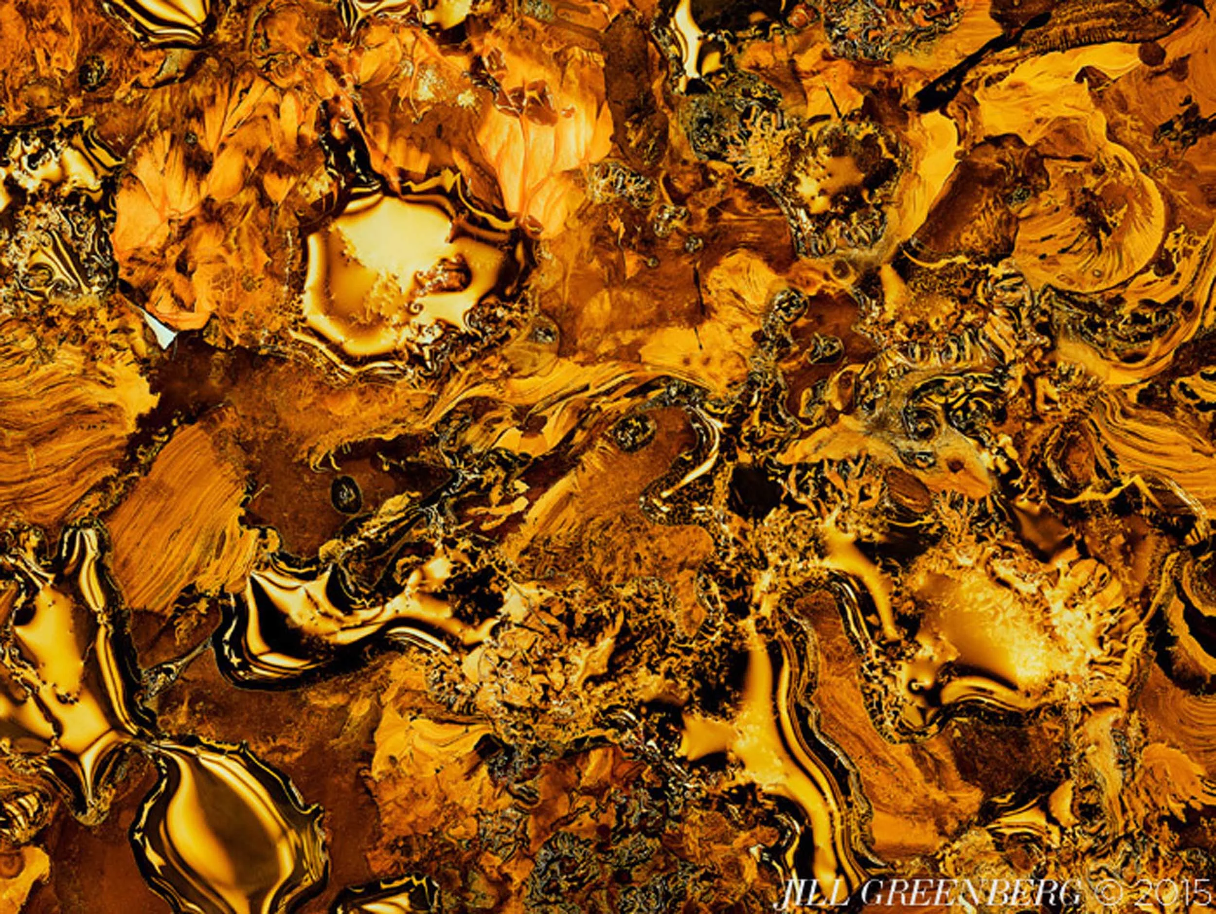 ART — Jill Greenberg Studio