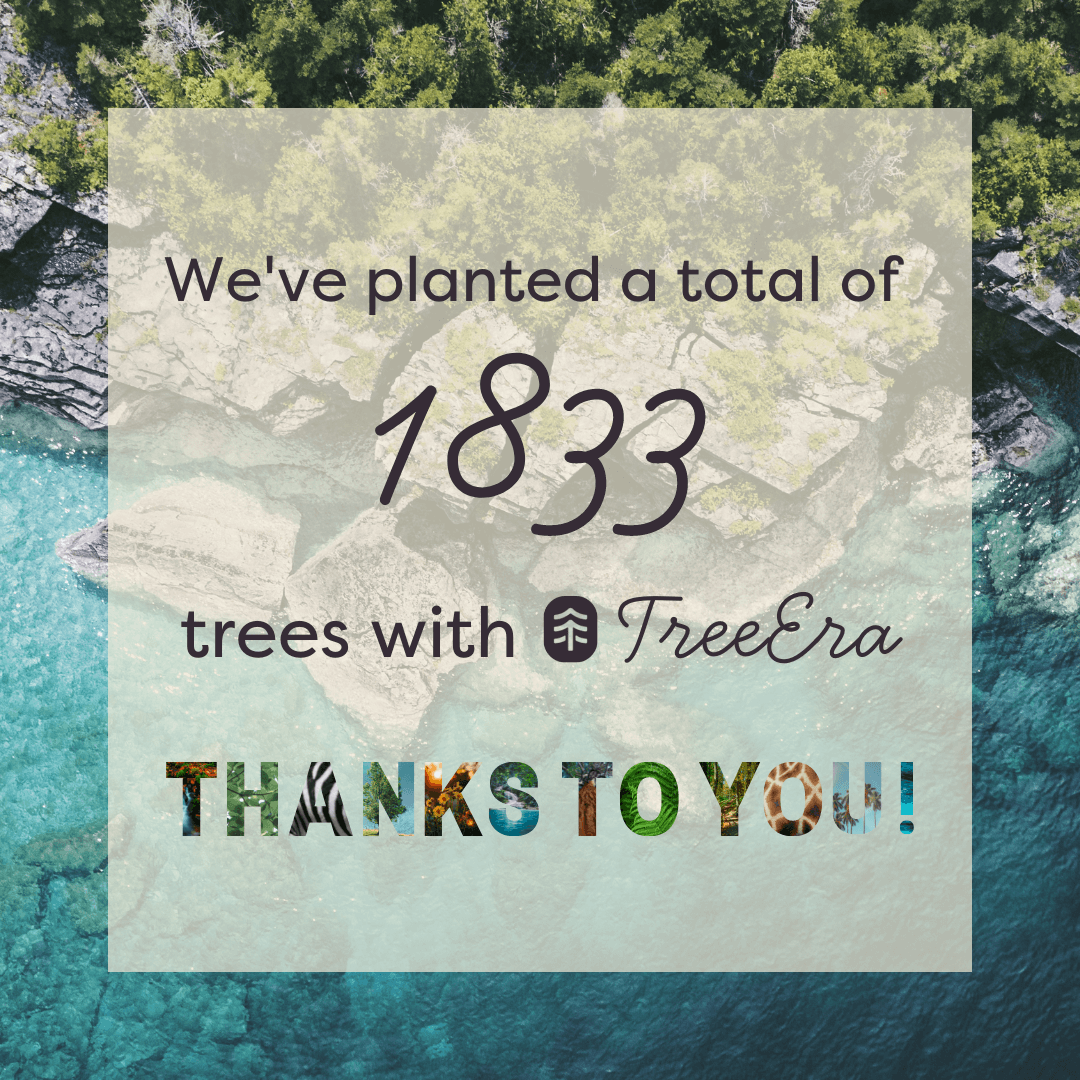 Ciel Power LLC | Insulation Contractor | Home Energy Audit