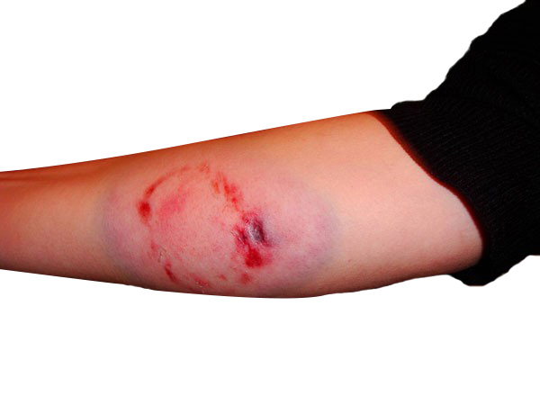 Body Armour Canada Bullet & Cut Resistant Products - Cut, Scratch and ...