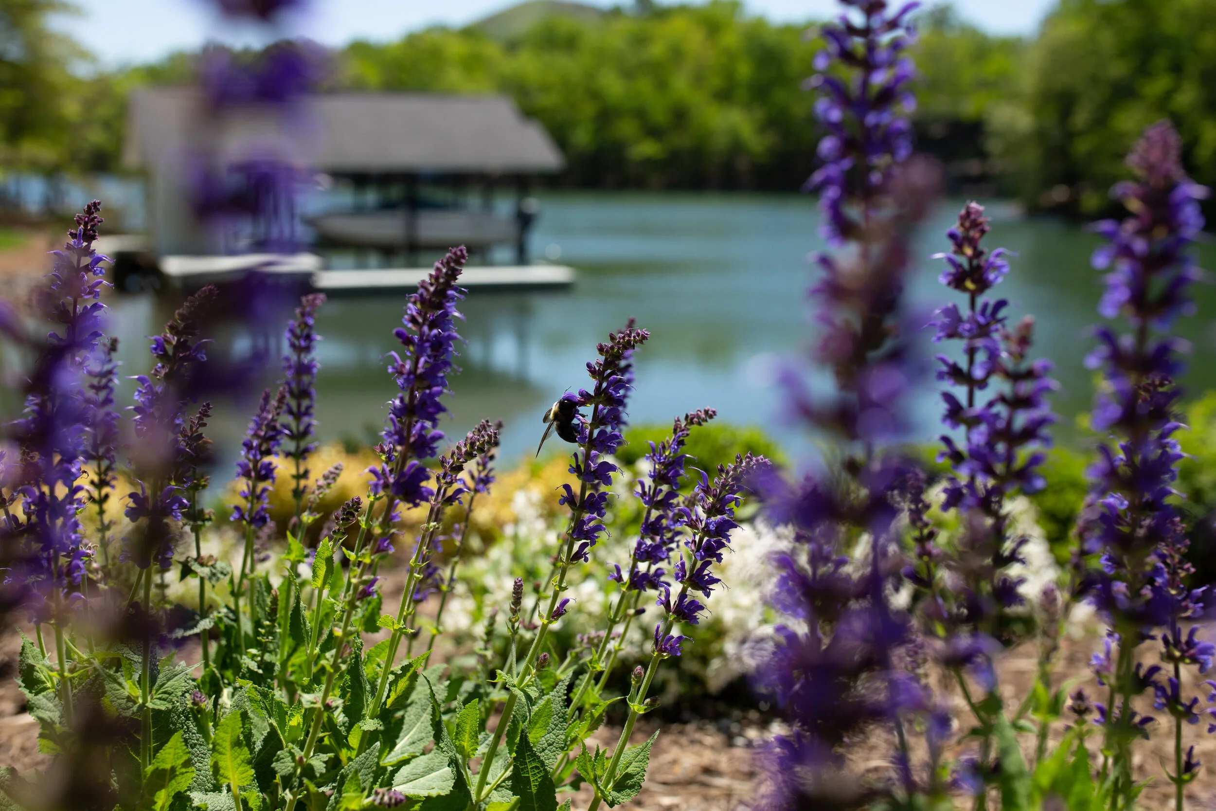 Virginia Landscape Group