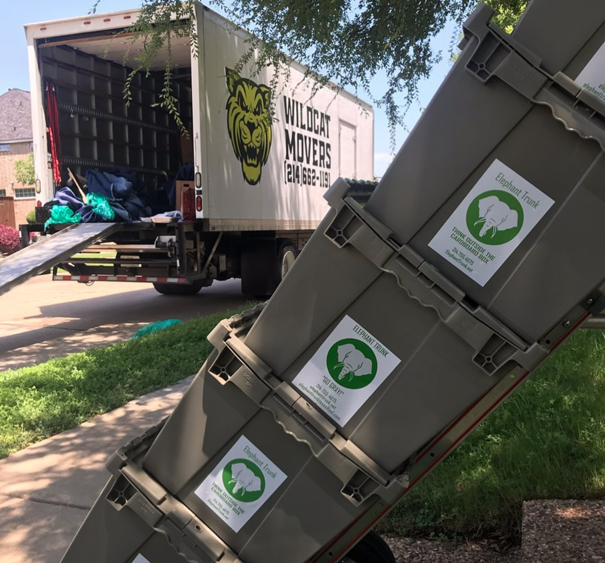 Professional Packing & Moving Services Partners| Elephant Trunk