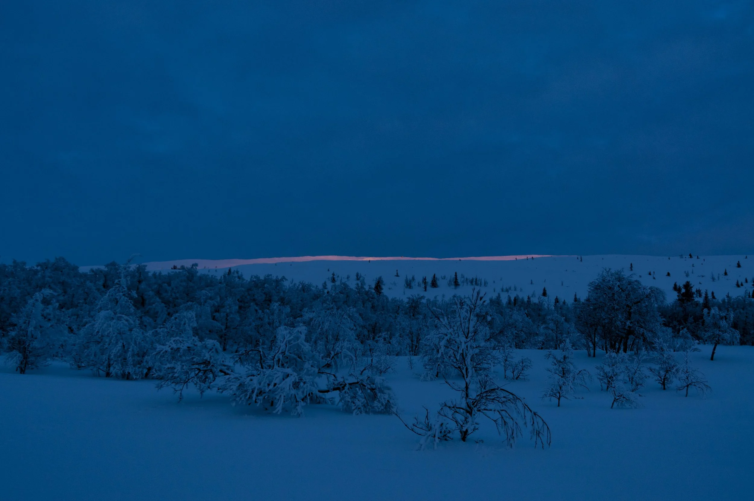 Thomas Widerberg: Northern Lights — Gallagher & Turner