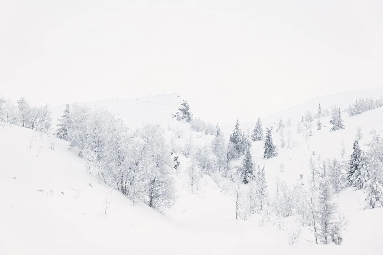 Thomas Widerberg: Northern Lights — Gallagher & Turner