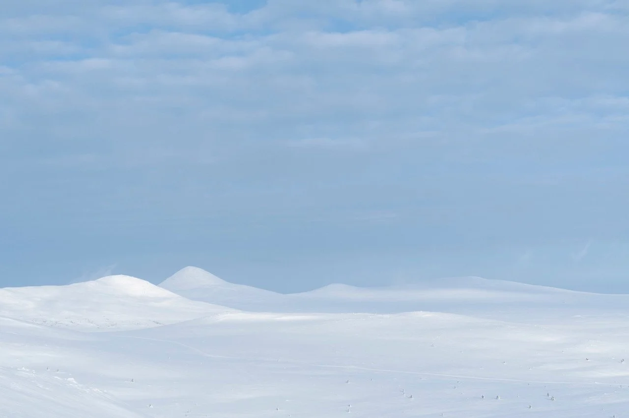 Thomas Widerberg: Northern Lights — Gallagher & Turner