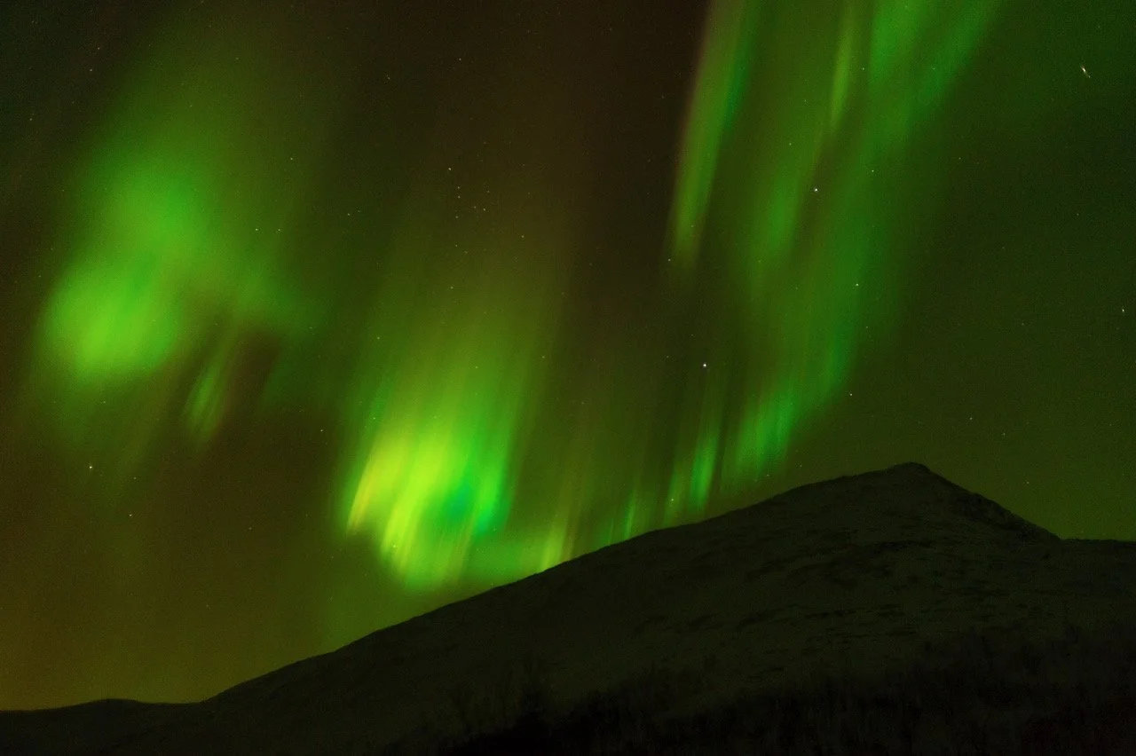 Thomas Widerberg: Northern Lights — Gallagher & Turner