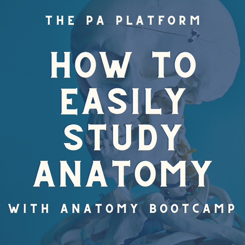 Pre-PA — The PA Platform