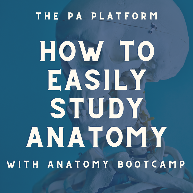 How to Easily Learn Anatomy — The PA Platform