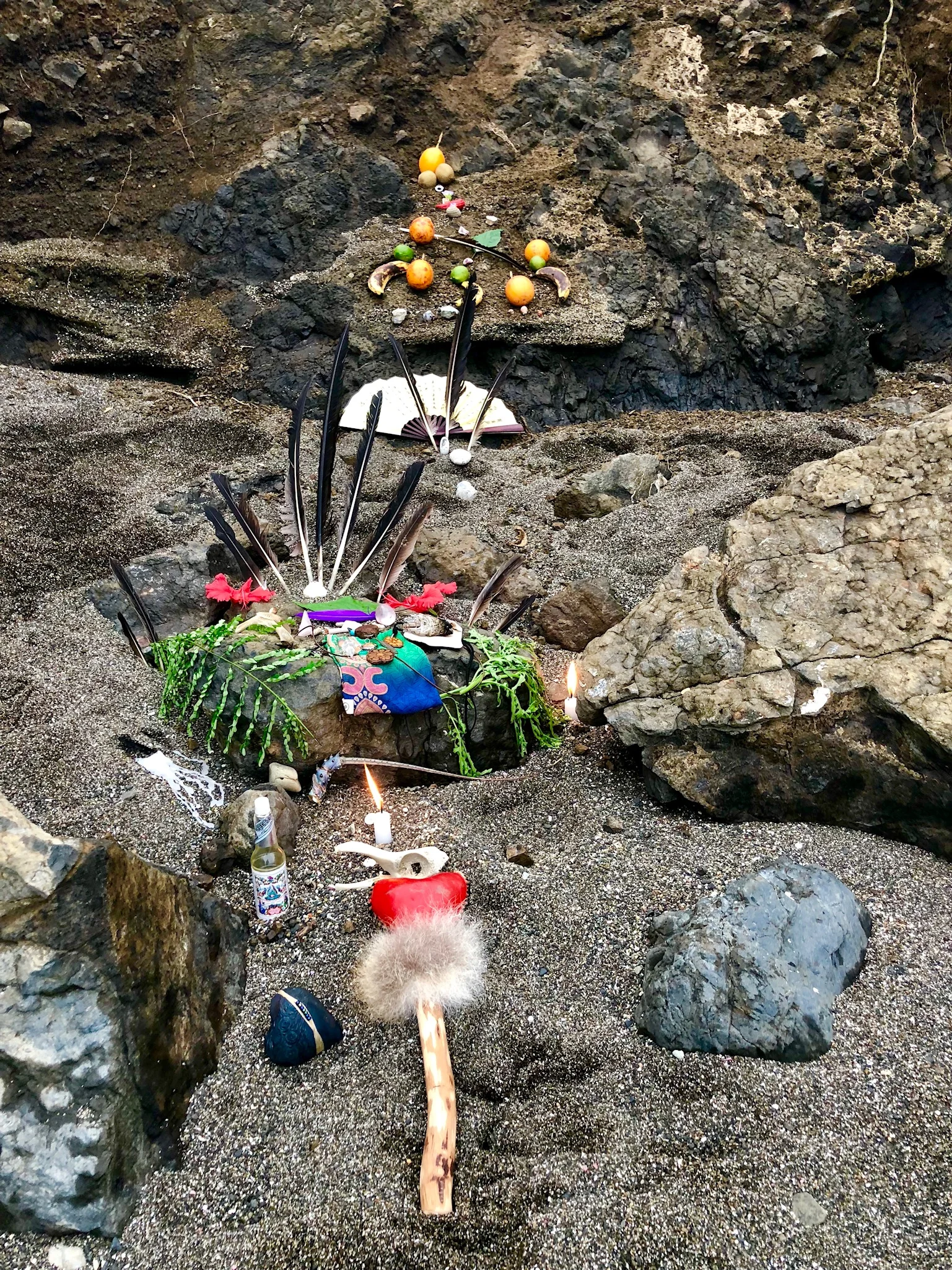 Psilocybin Blog — The Buena Vida Psilocybin Retreats