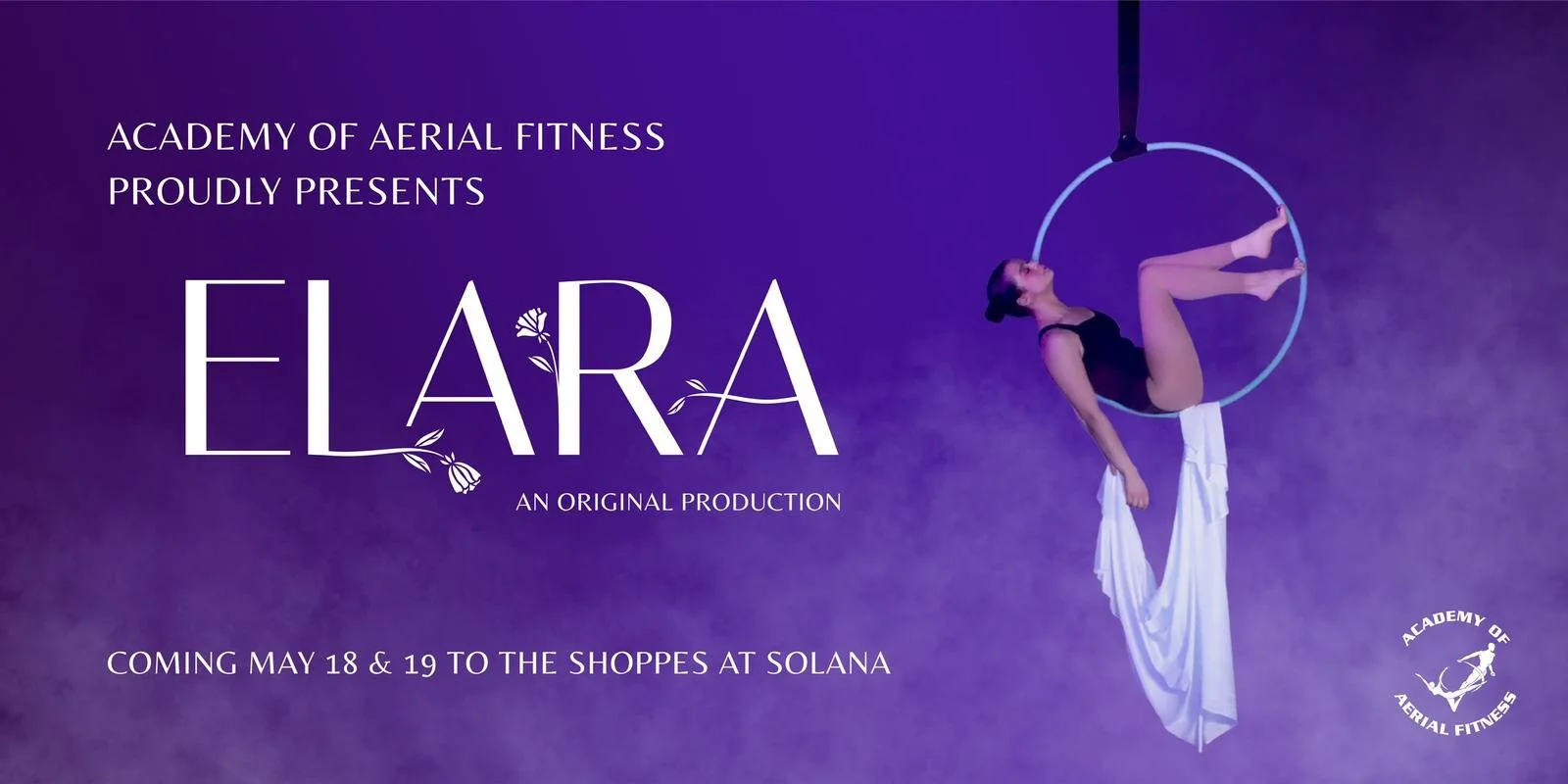 Academy of Aerial Fitness