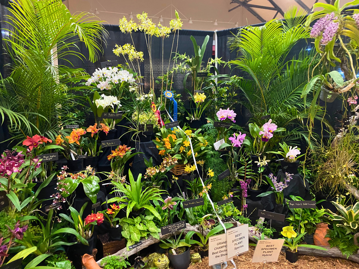 Event Calendar — Palmer Orchids