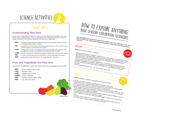 Rainbow Food Explorers Educator Toolkit — Rainbow Plate
