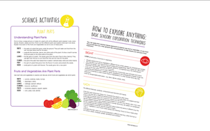 Rainbow Food Explorers Educator Toolkit — Rainbow Plate