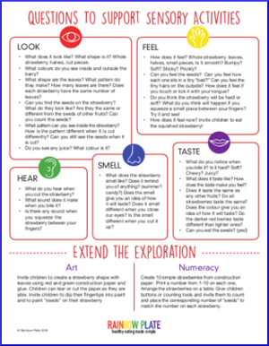 Rainbow Food Explorers Educator Toolkit — Rainbow Plate