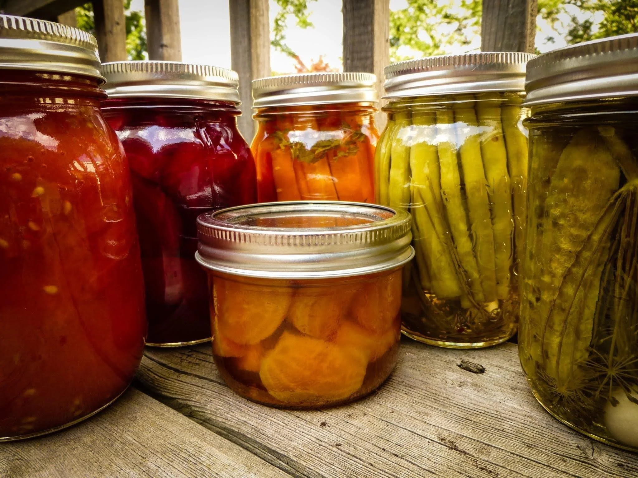 Shop — Rainbow Plate