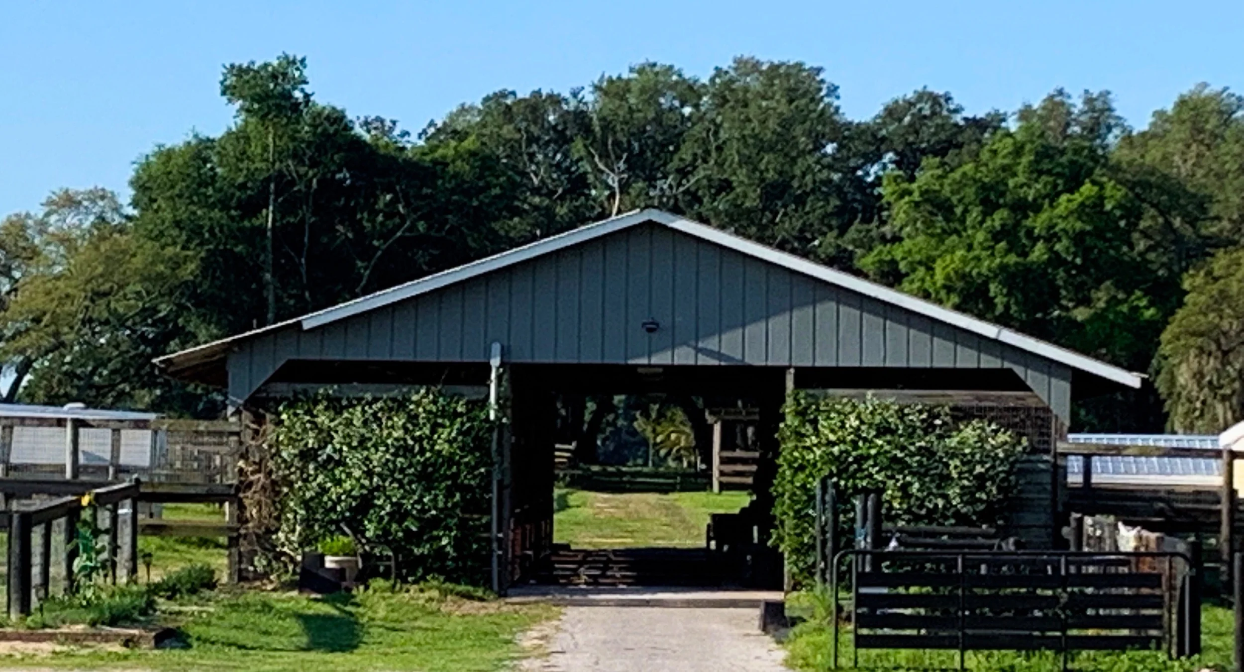 Next Level Farm - Premiere Equestrian Center