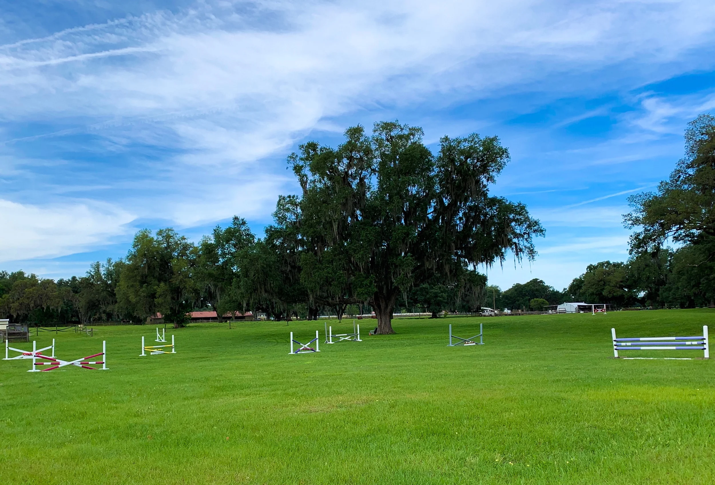 Next Level Farm - Premiere Equestrian Center