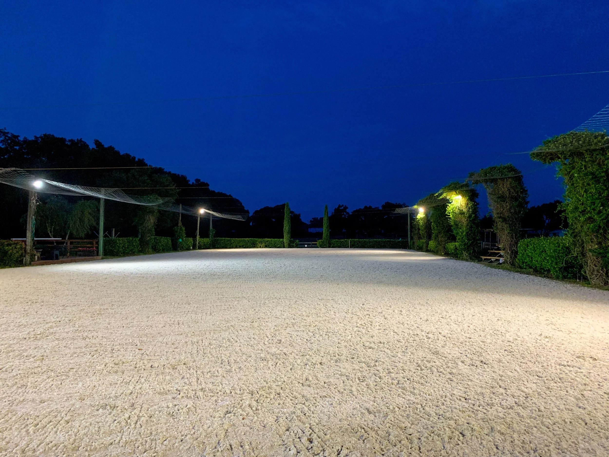 Next Level Farm - Premiere Equestrian Center