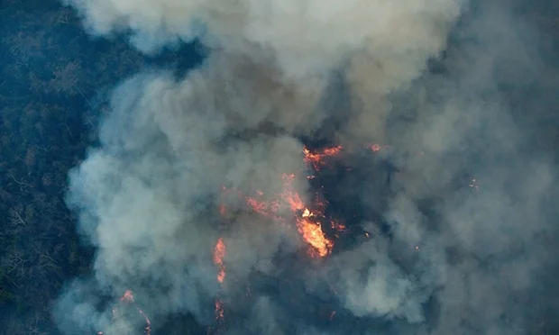 Vast Amazon wildfire destroys forest in Brazil and threatens ...