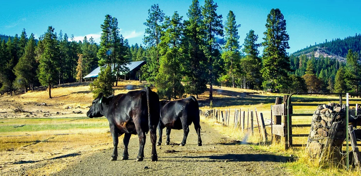 Venue — New Frontier Ranch