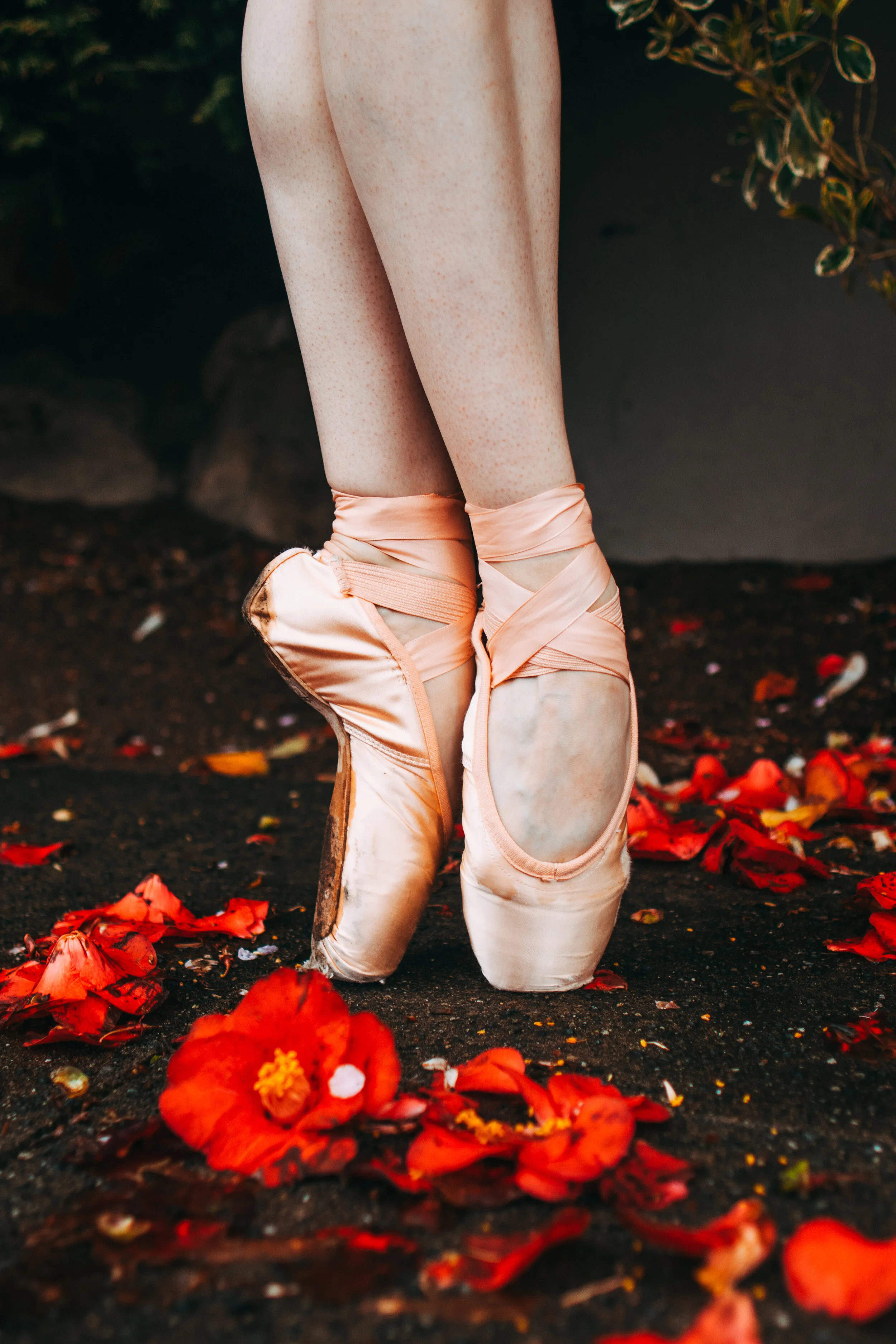Ballet Shoes Wallpaper Iphone