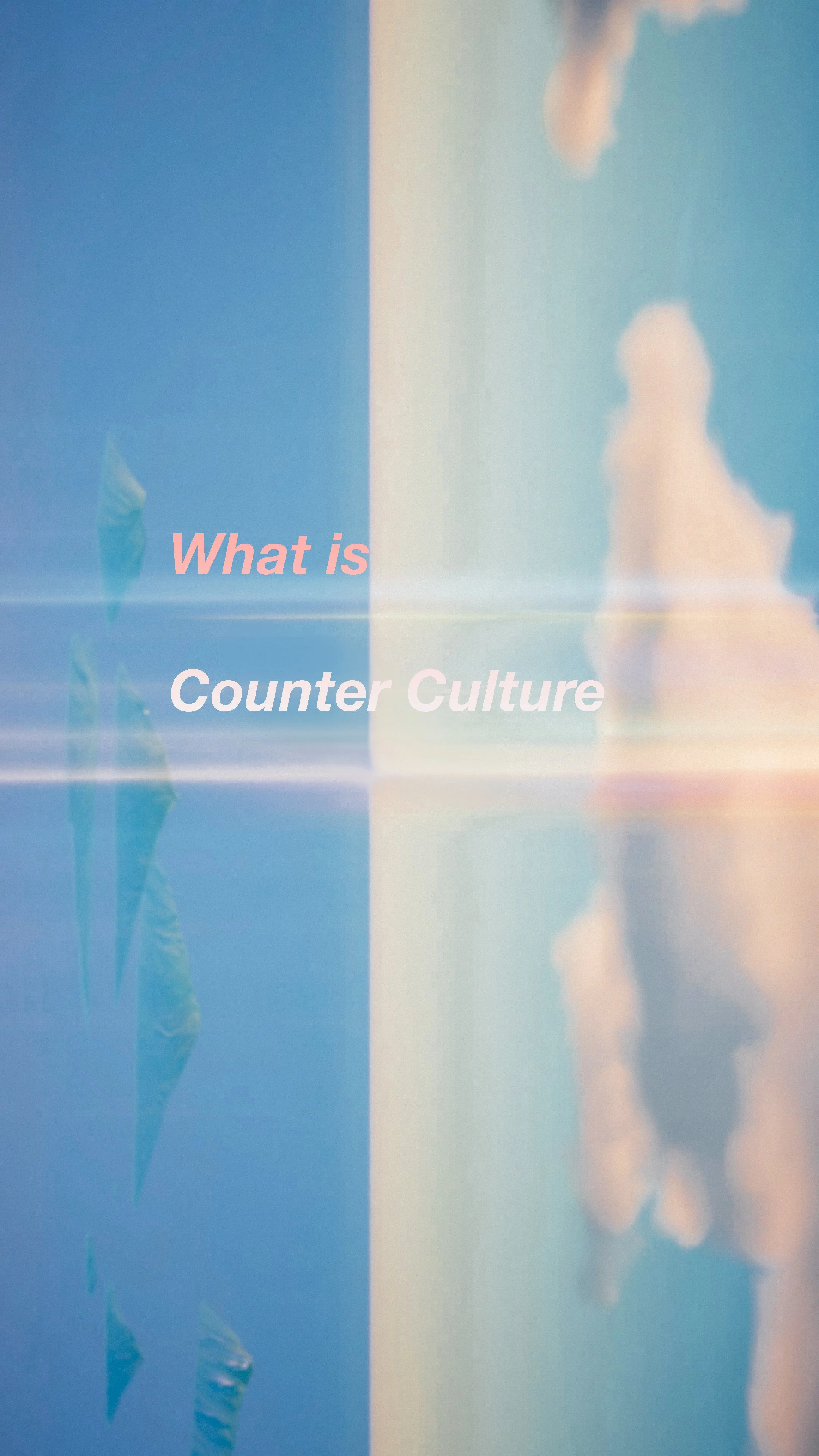 What is counter culture — Zaida Photography Inc