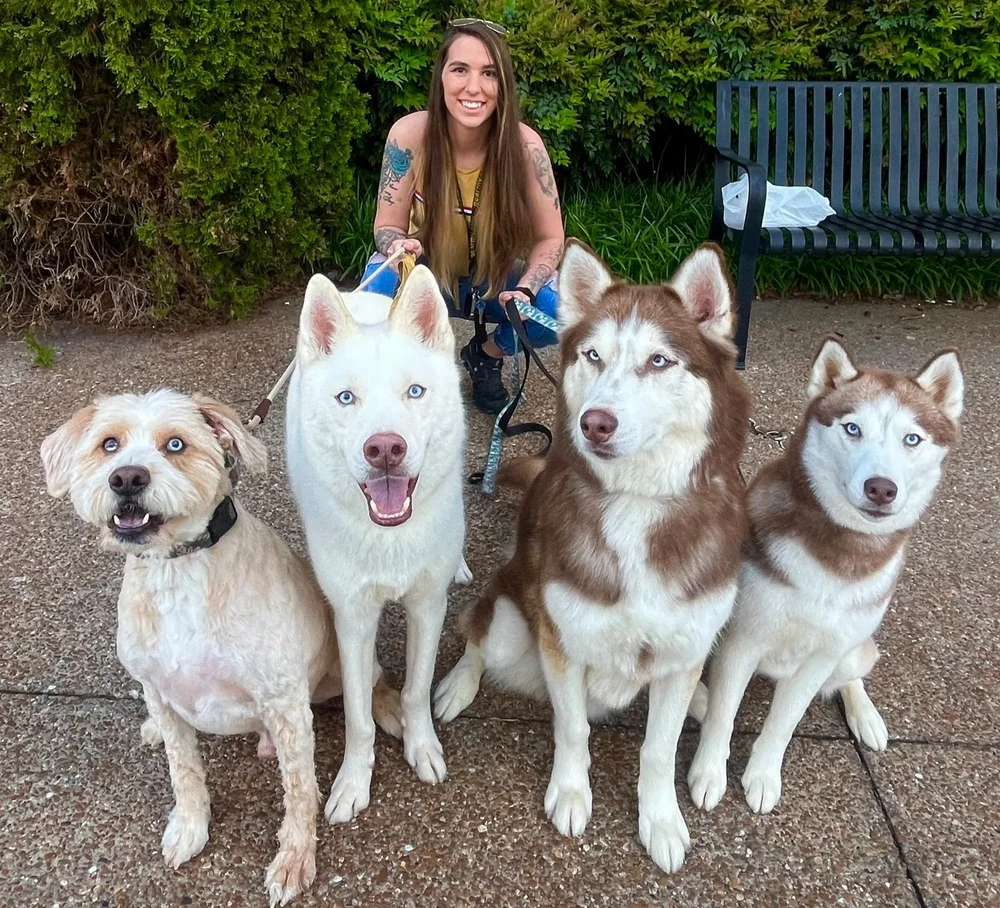 Lacey Bullard — Tennessee Veterinary Surgical Specialists
