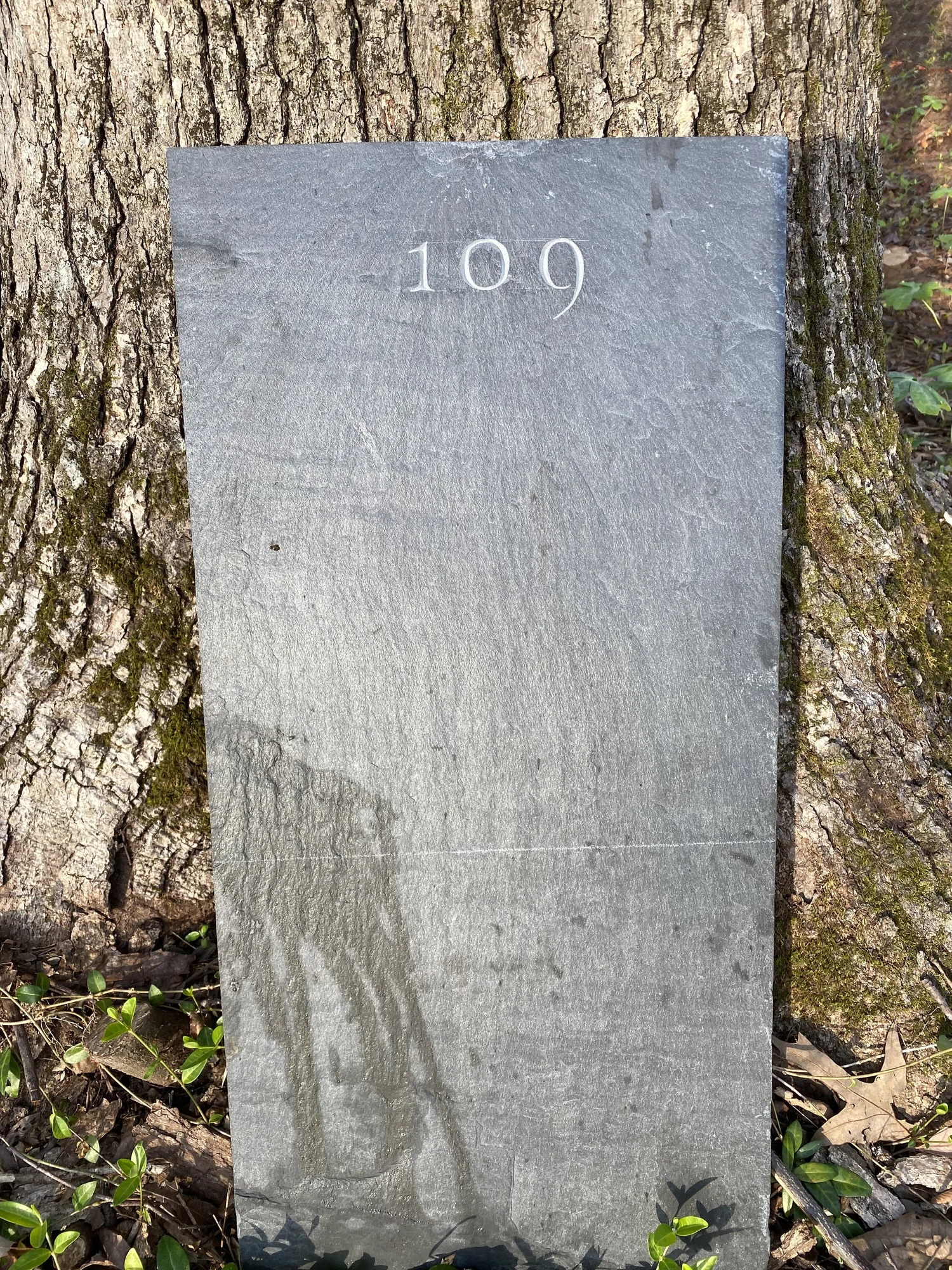 Stones in the Woods — Blue Goose Studios