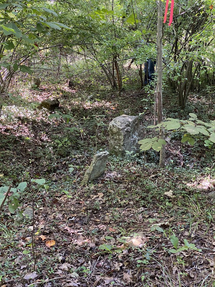 Stones in the Woods — Blue Goose Studios