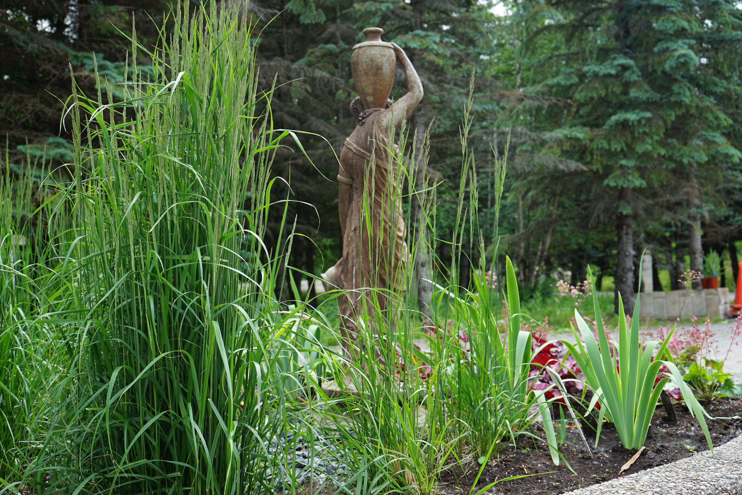 Projects — Love Every Leaf Landscape Design