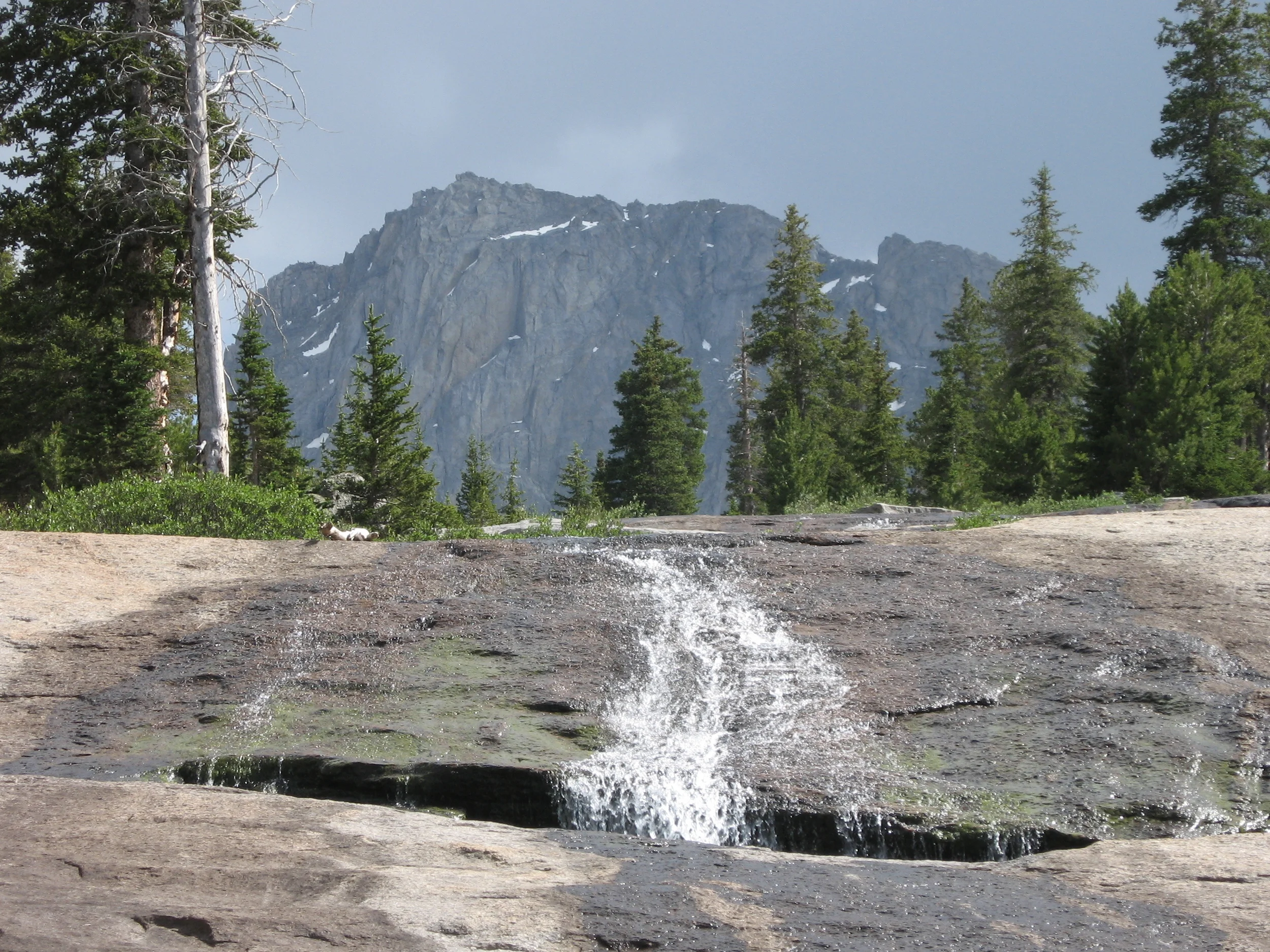 Wild Iris Mountain Sports - Home