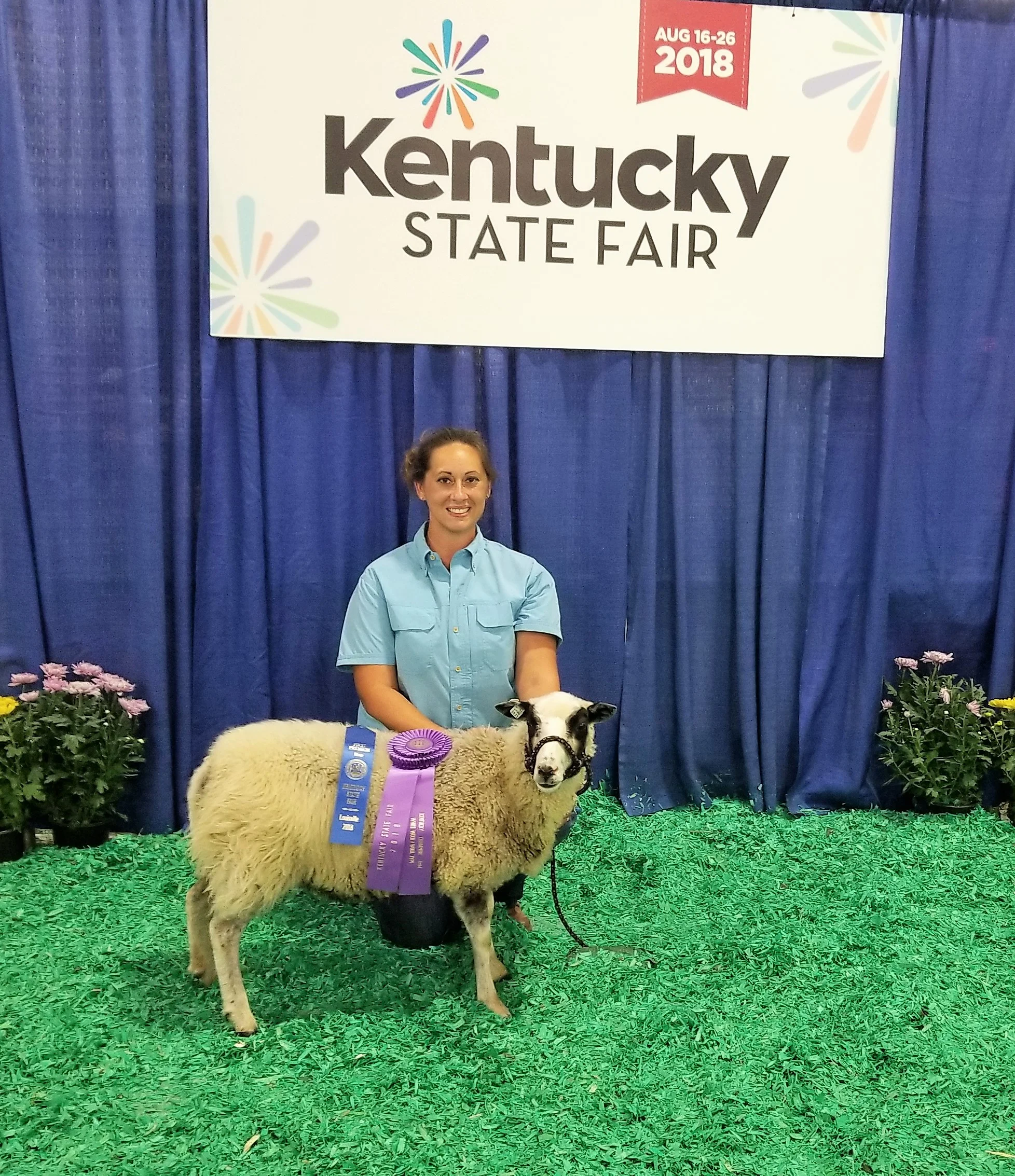 Photo Tour — Ballyhoo Fiber Emporium