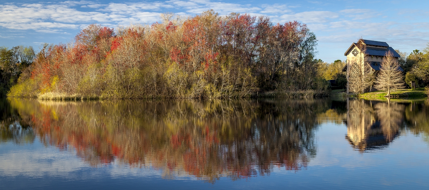 Florida — H J Herrera Photography