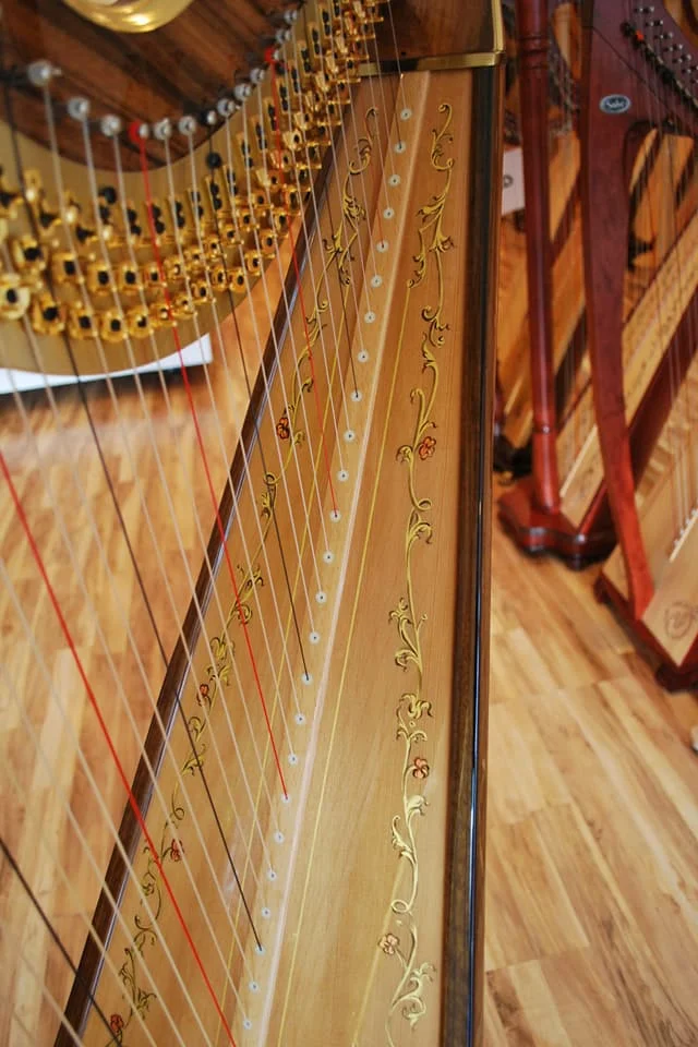 "The Michigan Harpist" Chanah Ambuter - Chanah has New Harp! Meet the ...