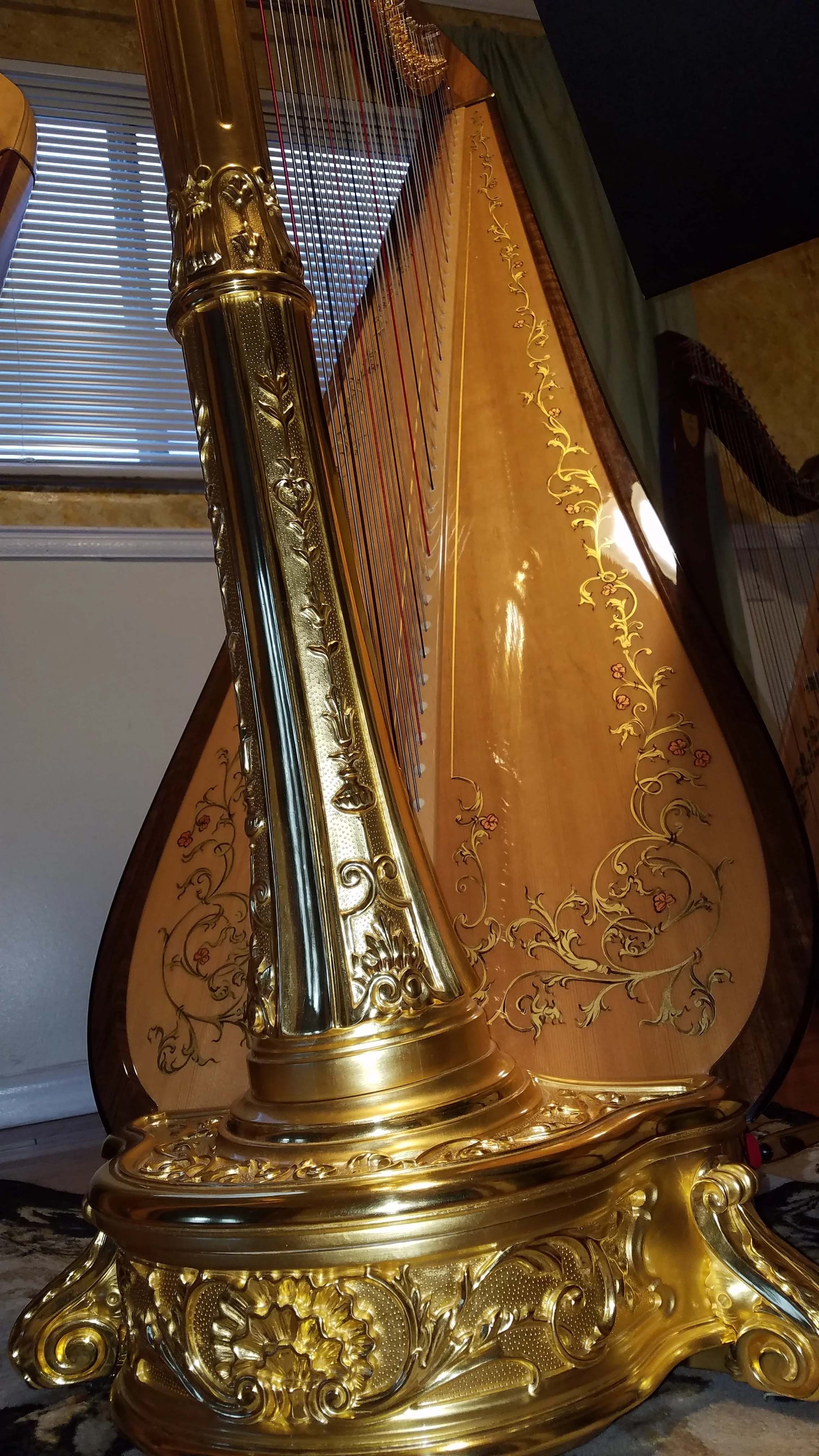 "The Michigan Harpist" Chanah Ambuter - Chanah has New Harp! Meet the ...