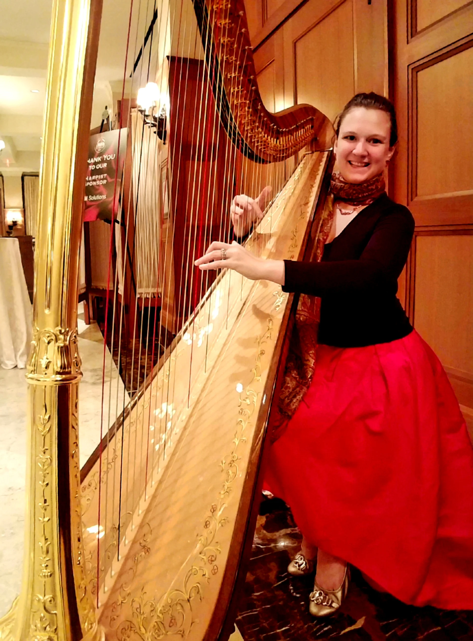 "The Michigan Harpist" Chanah Ambuter - Harp Photos