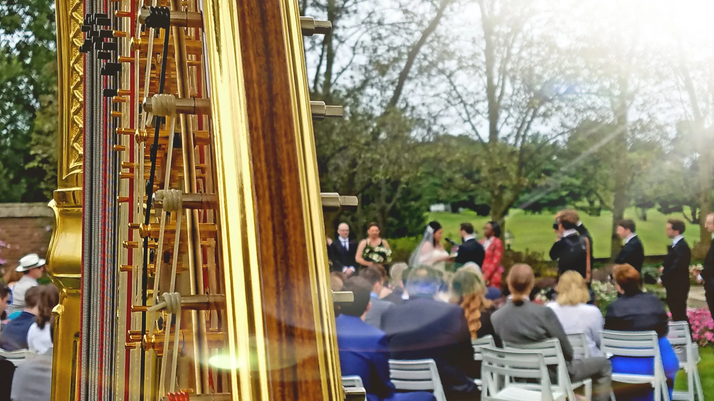 "The Michigan Harpist" Chanah Ambuter - Harp Photos