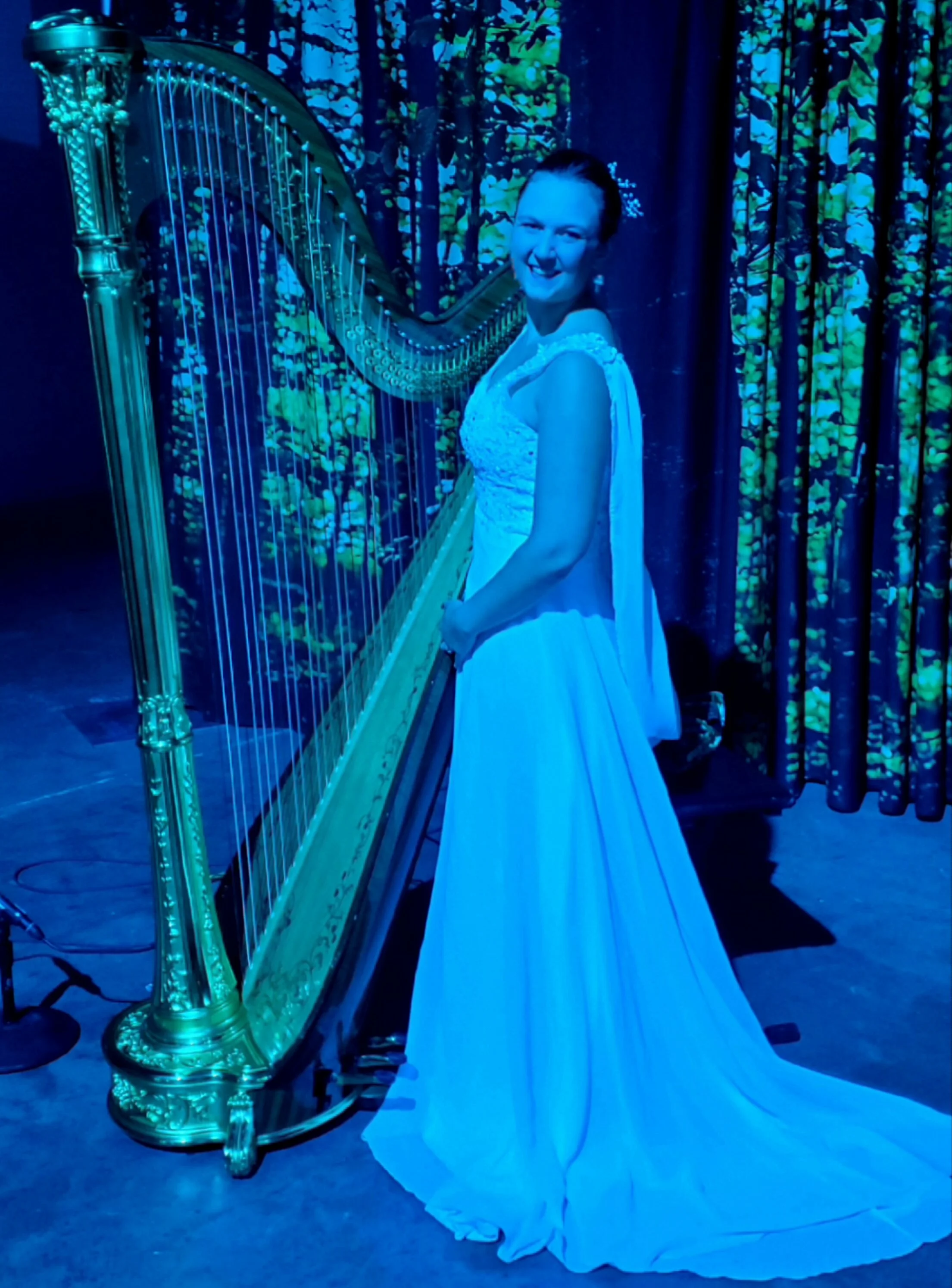 "The Michigan Harpist" Chanah Ambuter - Harp Photos