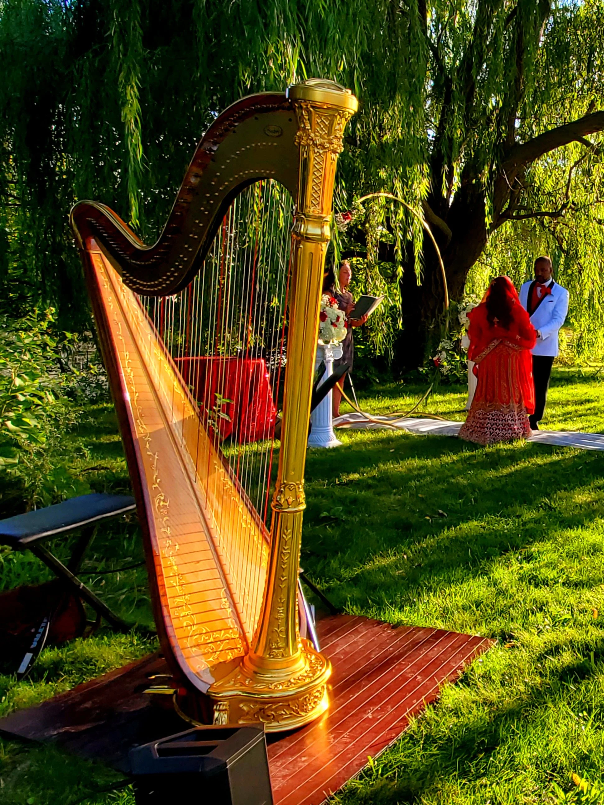 Michigan Harpist: Weddings, Events, Harp Lessons