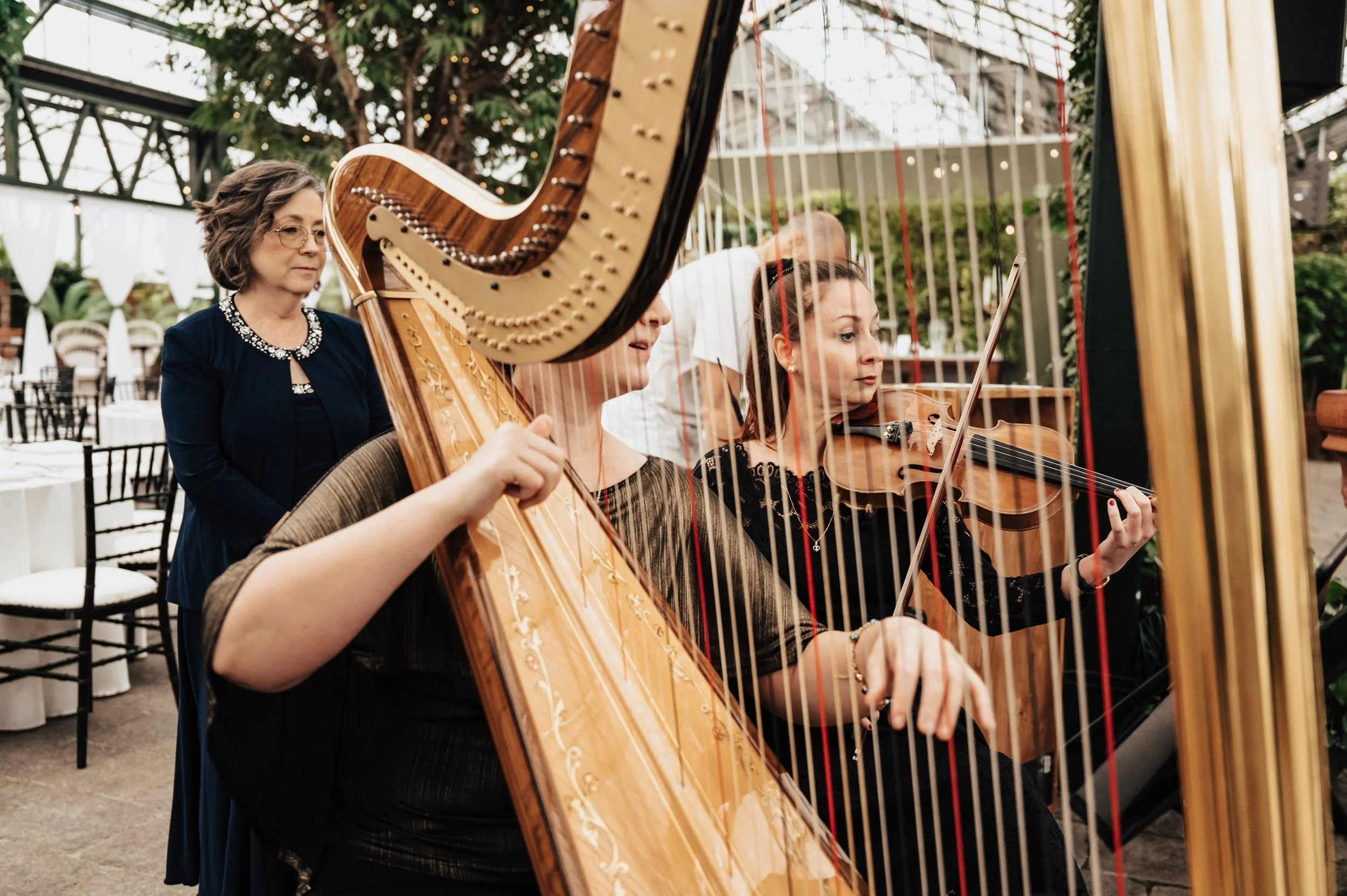 "The Michigan Harpist" Chanah Ambuter - Florina & Chanah - Violin and ...