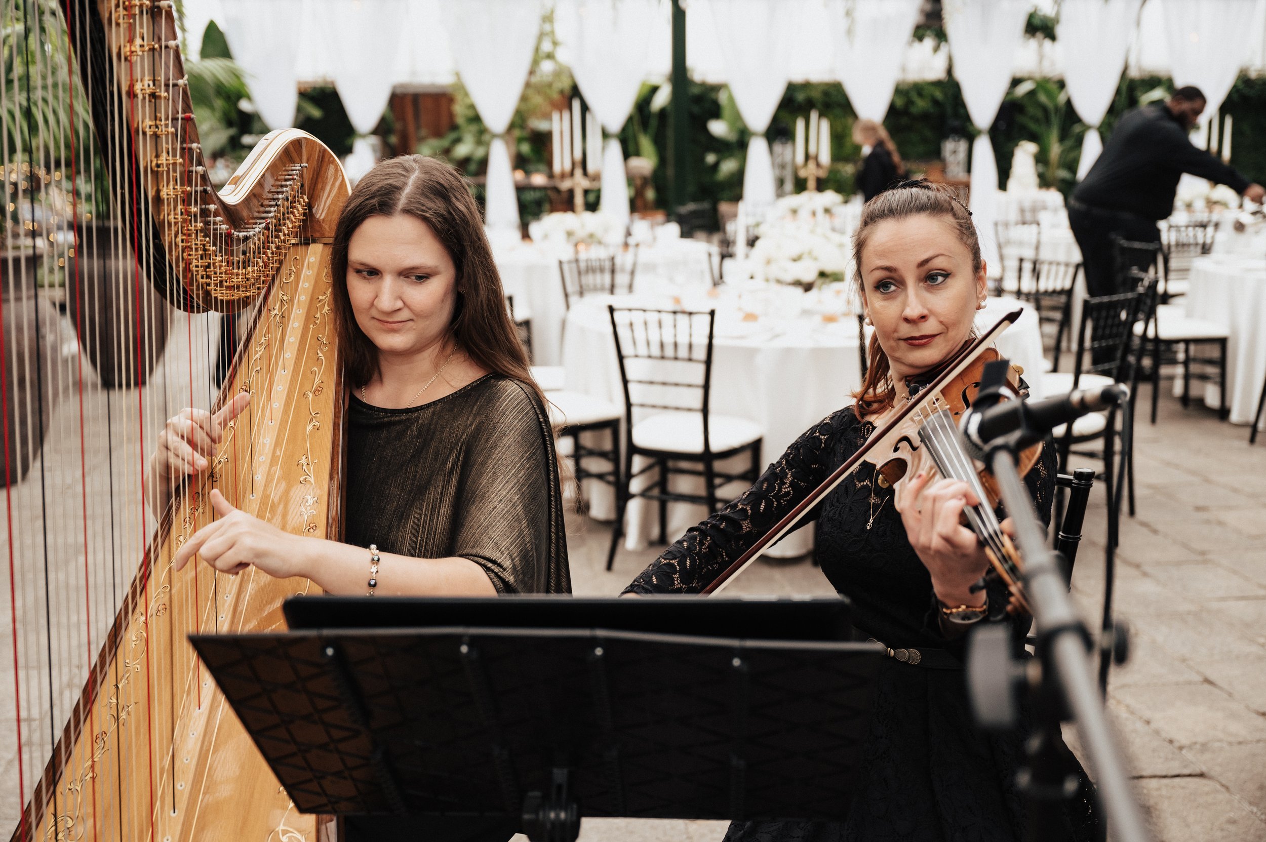 "The Michigan Harpist" Chanah Ambuter - "Chanah was absolutely ...