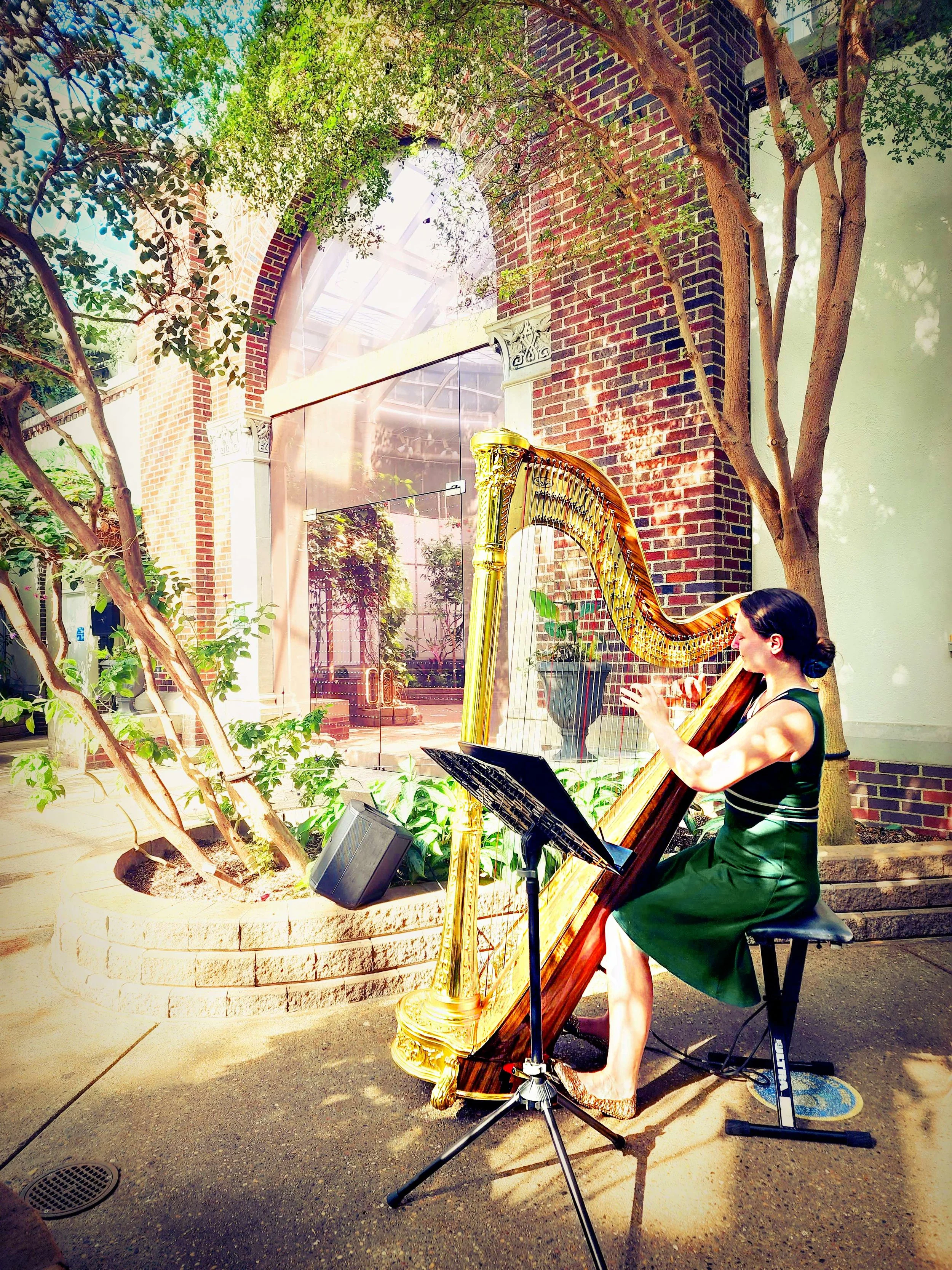 "The Michigan Harpist" Chanah Ambuter - Performance FAQ's