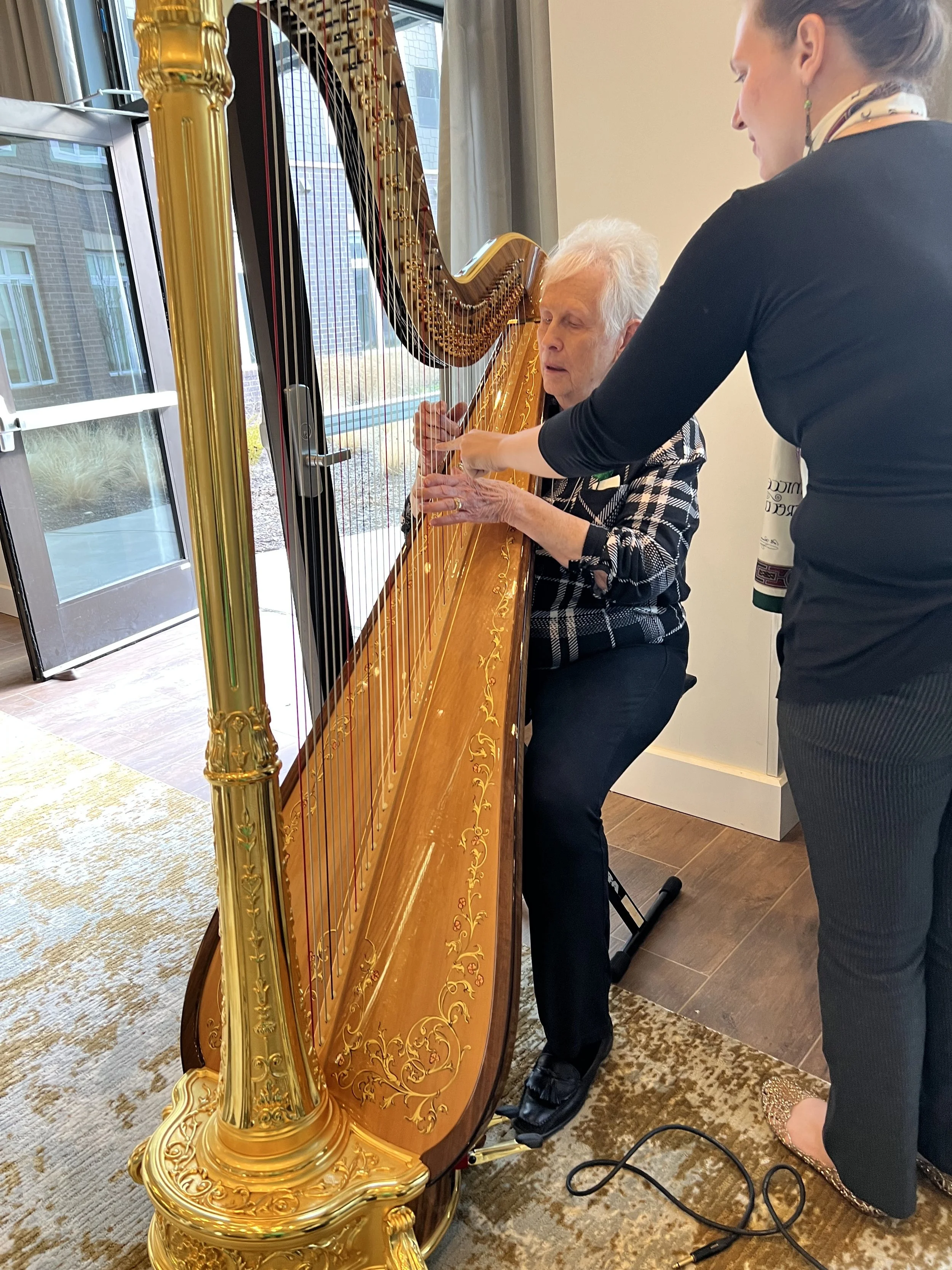"The Michigan Harpist" Chanah Ambuter - "You really took our event to ...