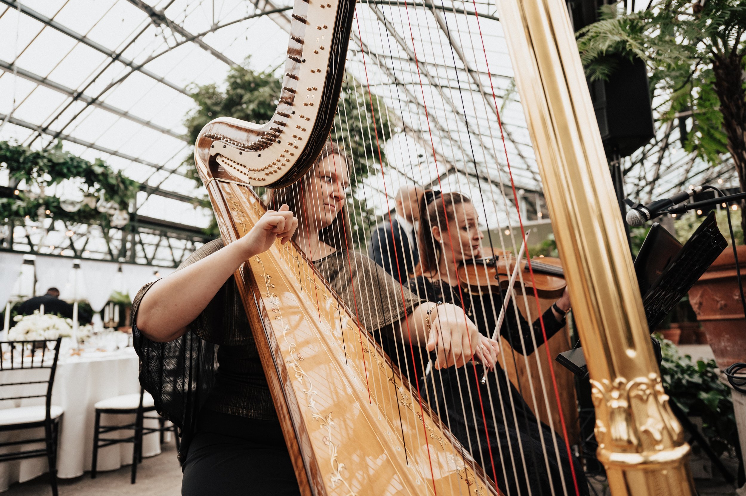 "The Michigan Harpist" Chanah Ambuter - "Chanah was absolutely ...