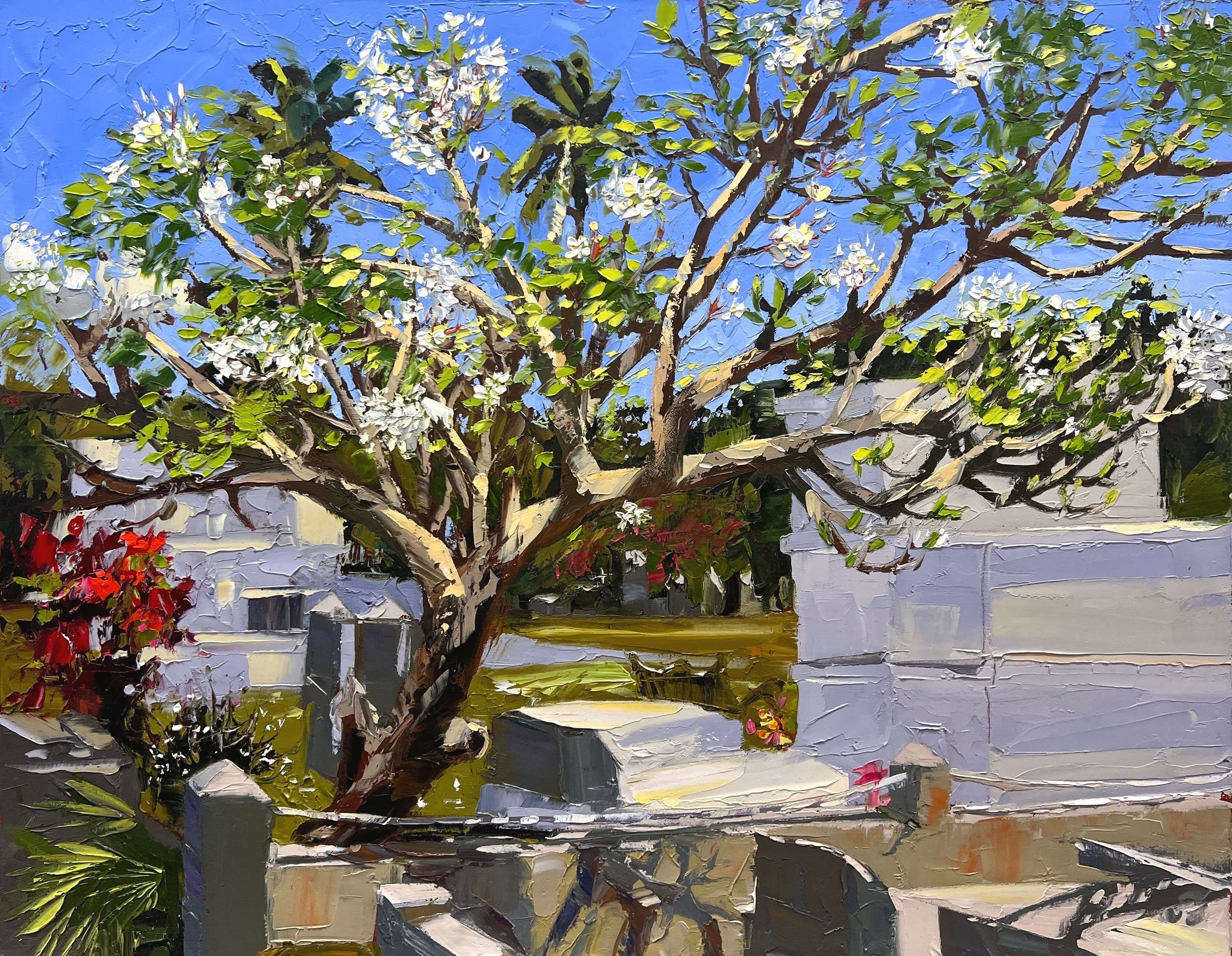 Peter Vey — The Gallery on Greene