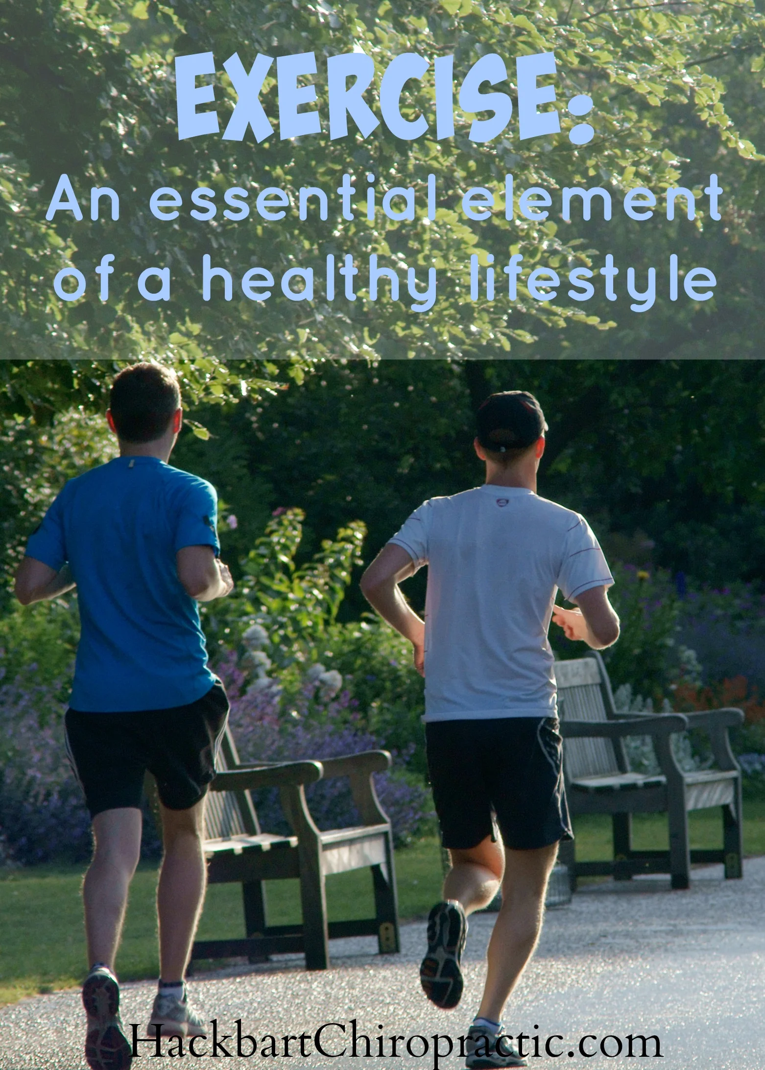 Hackbart Chiropractic