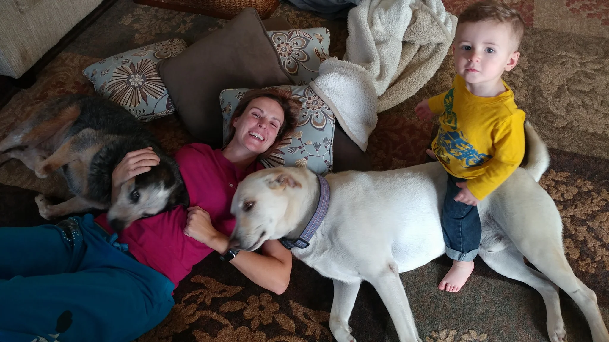 Bio — Jennifer Flowers Dressage