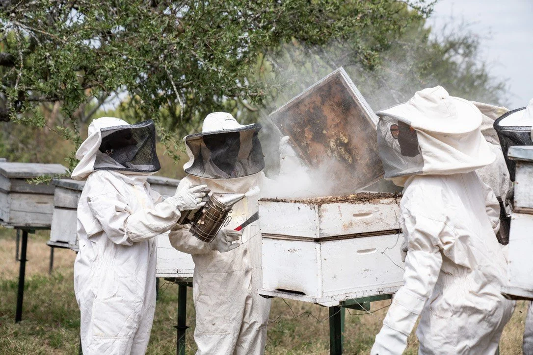 Women's Empowerment Projects — Focus on Tanzanian Communities