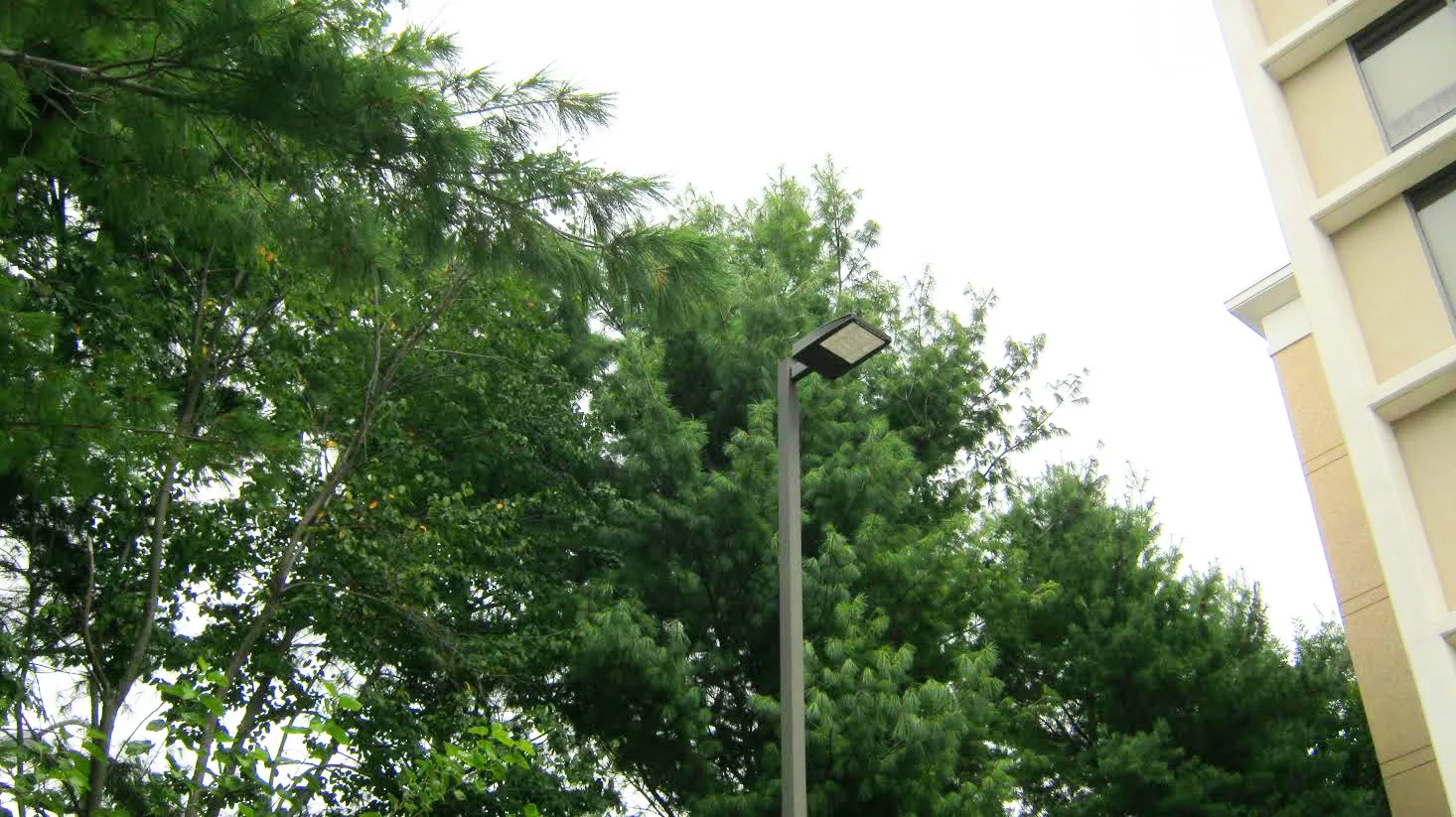 Gallery — Catoctin Lighting