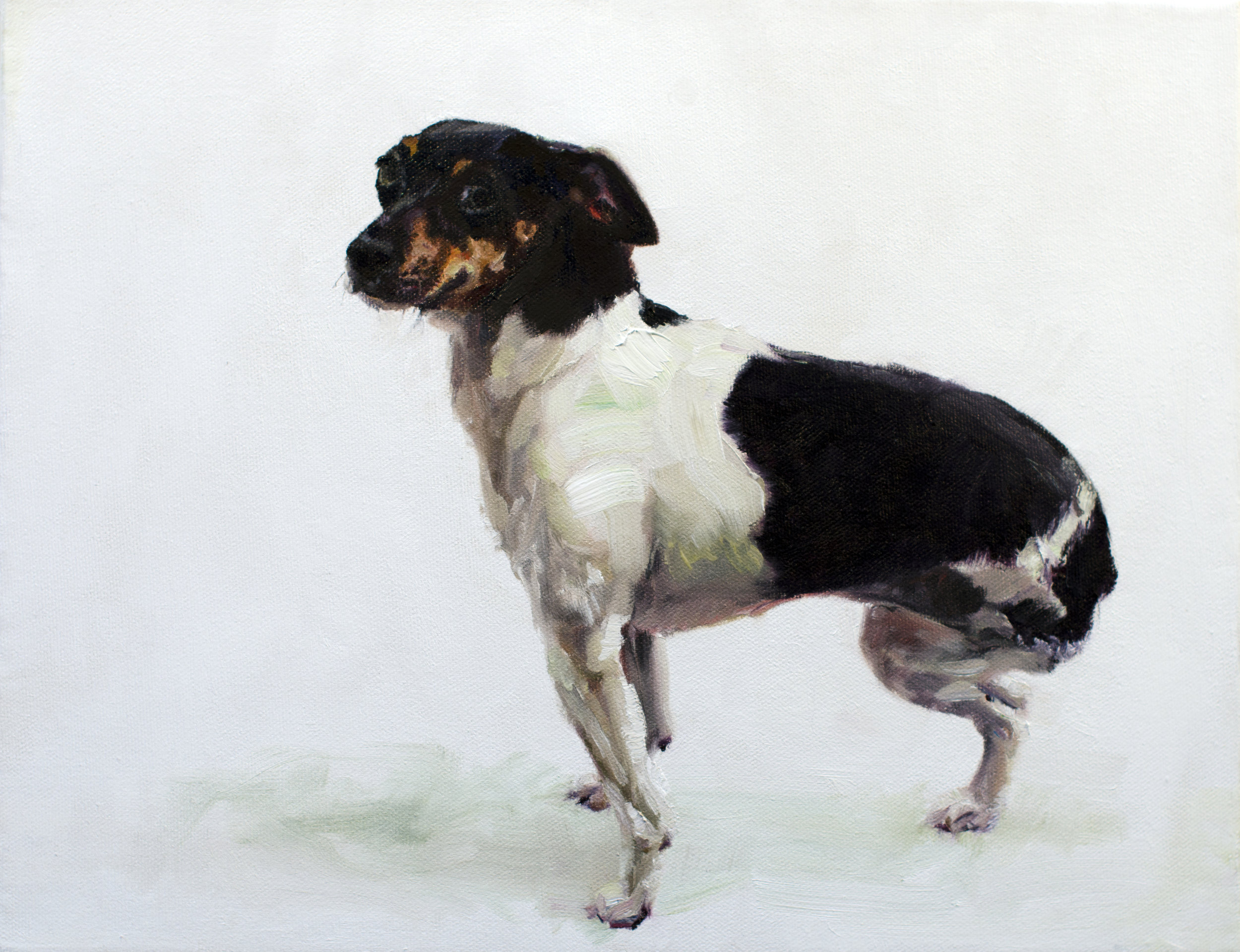 Huund | Dog Portraits | Commissioned Pet Paintings | Custom Oil ...
